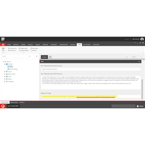 Best Sitecore Alternatives Reviews Features Pros Cons