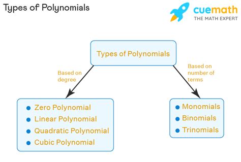 Types Of Polynomials Classifying Polynomials Based On Degree And Terms