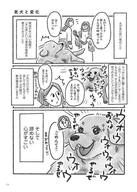 ＜画像8 37＞【老犬を介護】「いつまで一緒にいられるかわからないし…」16歳の老犬の介護のために仕事を辞めて実家へ【著者に聞いた