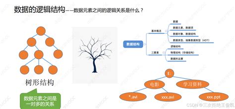 数据结构学习day01 Csdn博客 数据结构学习day01 Csdn博客
