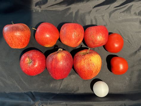 Enhanced Object Detection With Hyperspectral Data