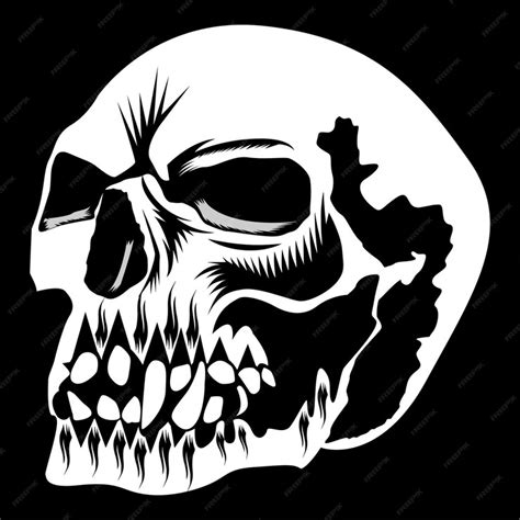 Premium Vector Human Skull Illustration