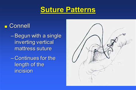 Download Pare De Acreditar No Governo Por Que Os Brasileiros Não Confiam Nos Políticos E Amam O