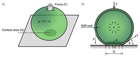 Applied Sciences Free Full Text Simulation Of Static Tyrepavement Interaction Using Two Fe