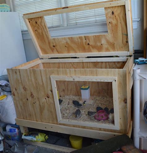 Chick Brooder Artofit