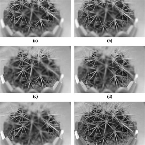 Illustration Of The Dataset A And Its Fusion Results Ae Are Six Download Scientific Diagram