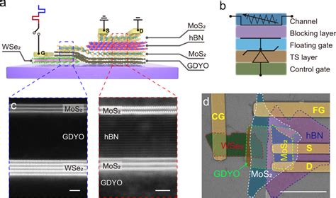 architecture of the low voltage ultrafast nonvolatile memory based on