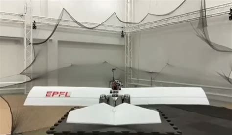 Philipp Kozin Phd Mba On Linkedin Raven Robotics Innovation Birds Drones