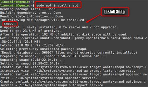 How To Install Package Manager On Linux Mint Linux Genie