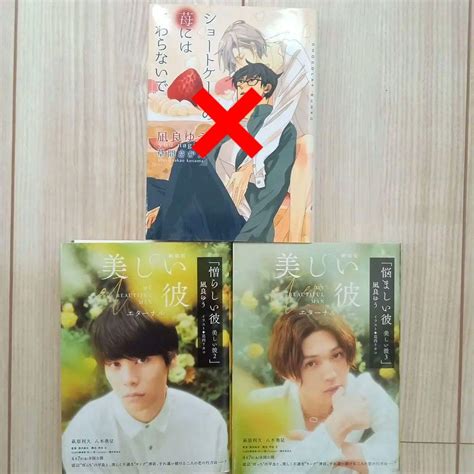 ★値下げ★bl小説 美しい彼 凪良ゆう 特製全面帯 限定表紙 メルカリ