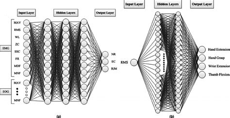 Schematic Diagram Of Back Propagation Artificial Neural Networks
