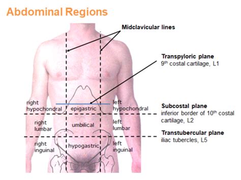 Transtubercular Plane