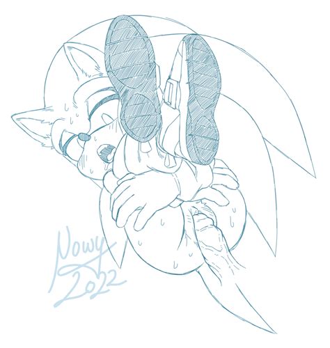 Post Nowykowski Sonic The Hedgehog Sonic The Hedgehog Series