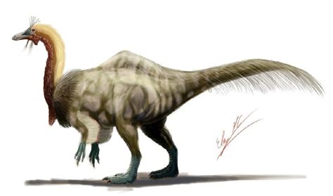 Deinocheirus Pictures Facts The Dinosaur Database