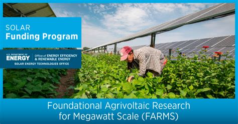 Foundational Agrivoltaic Research For Megawatt Scale Farms Funding