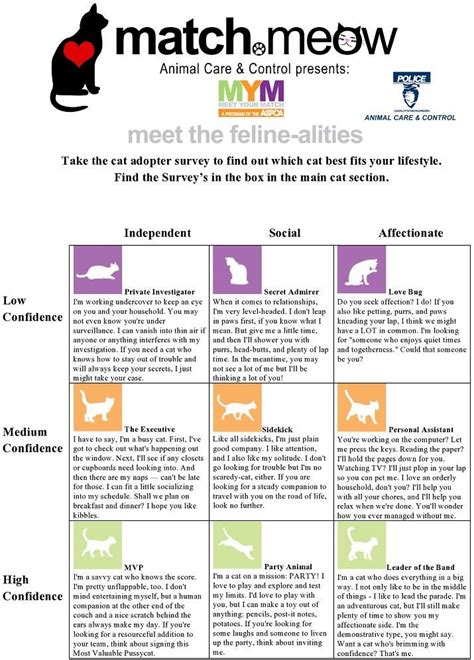 The Cat Personality Test Who Im I