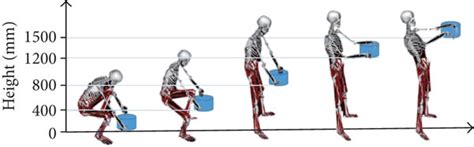 The Motion Animation Of The Participant Restored By Opensim Software Download Scientific Diagram