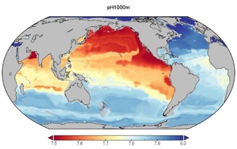 海洋环境变化关键参数观测数据产品
