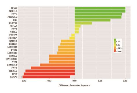 Racial Difference Of Somatic Mutations In Esophageal Squamous Cell