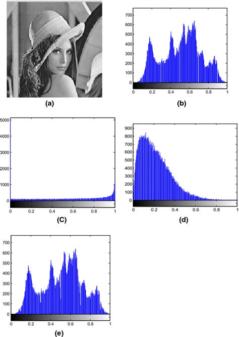 histogram analysis a greyscale image of size 256 × 256 b histogram of