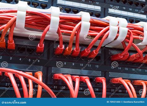 Close Up Of Red Network Cables Connected To Switch Stock Photo Image Of Connect Rj