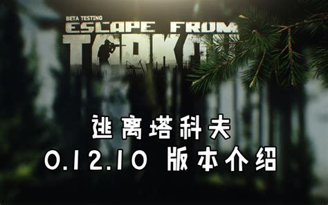 逃离塔科夫 0 12 10版本介绍（这次没删档） 哈哈哈 哔哩哔哩 ゜ ゜ つロ 干杯~ Bilibili