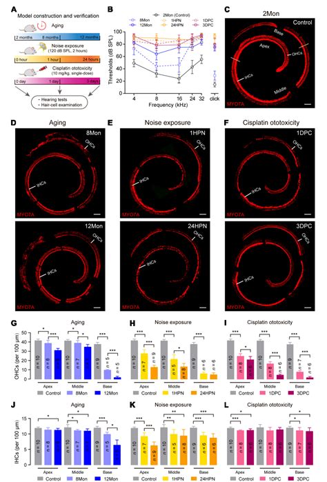 Figure 1 From Integrative Functional Transcriptomic Analyses Implicate