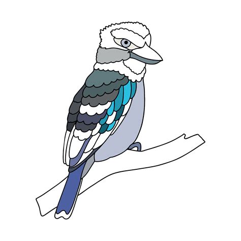 Kookaburra сoloring Page ♥ Online And Print For Free