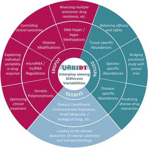 Biomedical Data Analysis Platform
