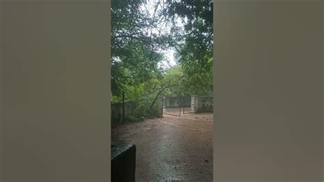 ఇదేమి వానరా బాబు 🌧️🌧️ Youtube