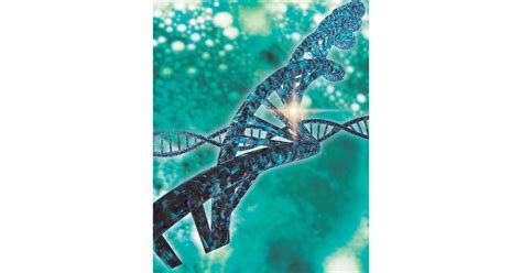 European Patent Office To Grant Milliporesigmas Patent Application For