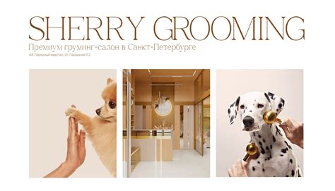 Sherry Grooming — стрижка собак и кошек в Санкт Петербурге