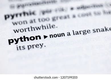 Python Dictionary Images Stock Photos D Objects Vectors Shutterstock