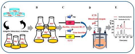 Fermentation Free Full Text Adaptive Laboratory Evolution Of