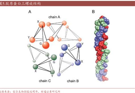 重点公司投资评级 行业研究数据 小牛行研