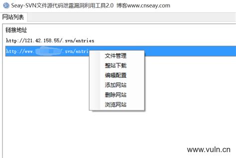 Seay Svn源代码备份漏洞利用工具20版 漏洞人生
