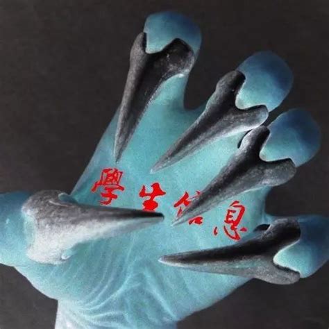 教育 震惊！黑客入侵各省教育系统贩卖信息 四川多名副校长被捕