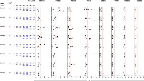 Recognition Of Bacterial GDP L Fucose Synthase Peptides By