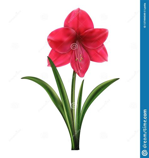 Red And Pink Roses A Lily With Buds And Green Leaves Realistic