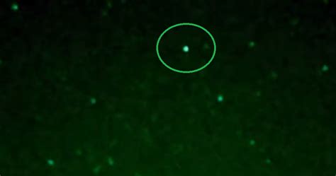Australian Ufo Hunters Video Shown On National South American Tv