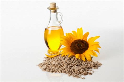Top Benefits Of Sunflower Oil For Skin Scalp Hair And Health