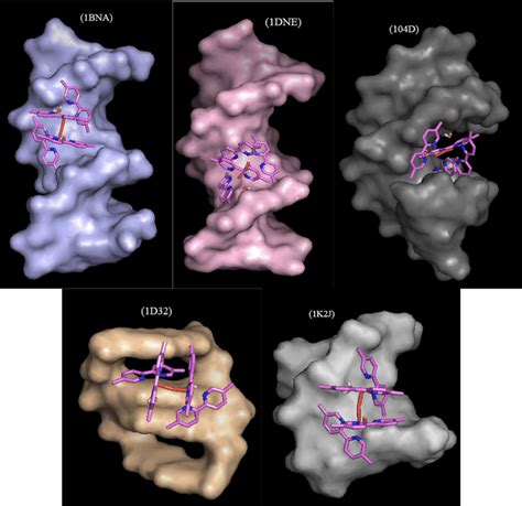 Docking Pose Of The Synthesized Compound In Groove Binding With