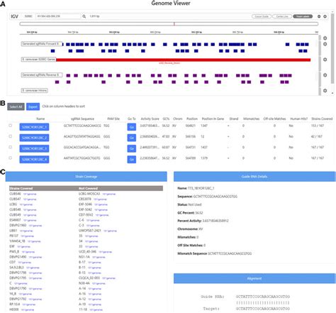 Sample Output From Crispy Pop Searched For The Gene Ade2 In S288c Download Scientific Diagram
