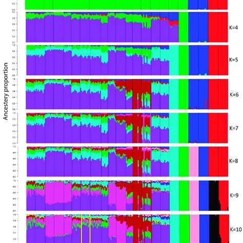 Admixture Analysis Results For All Ethiopian And Non Ethiopian Cattle