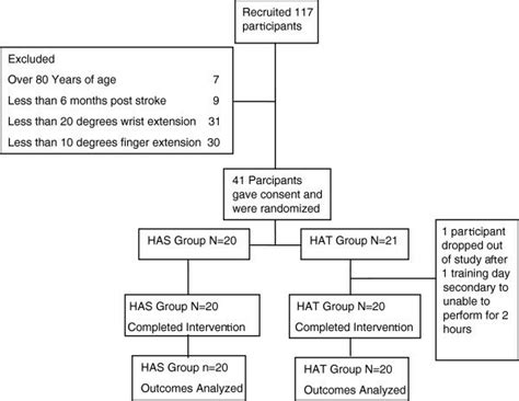 Consort Diagram Describes Participant Flow Through Screening