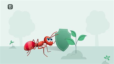 The Extraordinary Lives Of Ants