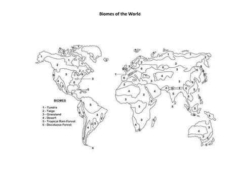 World Biome Map Coloring Worksheet