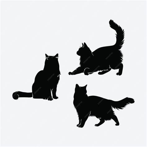 Elegant Siberian Cat Silhouette Vector Illustration Template Premium