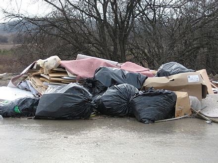 Illegal Dumping Wikipedia