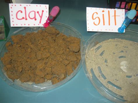 Third Grade Thinkers Types Of Soil Investigation And Printable
